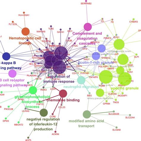 Gene Pathway Crosstalk Network The Large Circles Represent Pathways