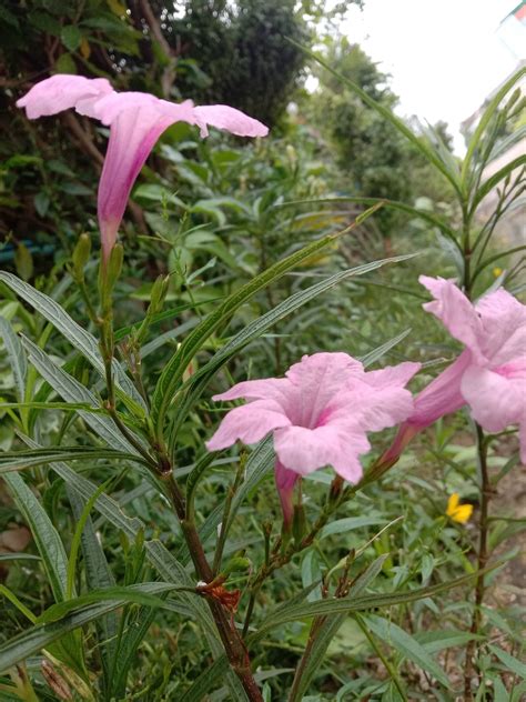 အြန္လိုင္းစာအုပ္ဆိုင္ Added A New အြန္လိုင္းစာအုပ္ဆိုင္