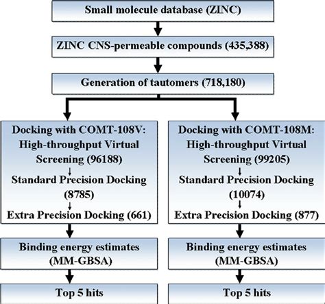 schematic representation of structure based virtual screening for