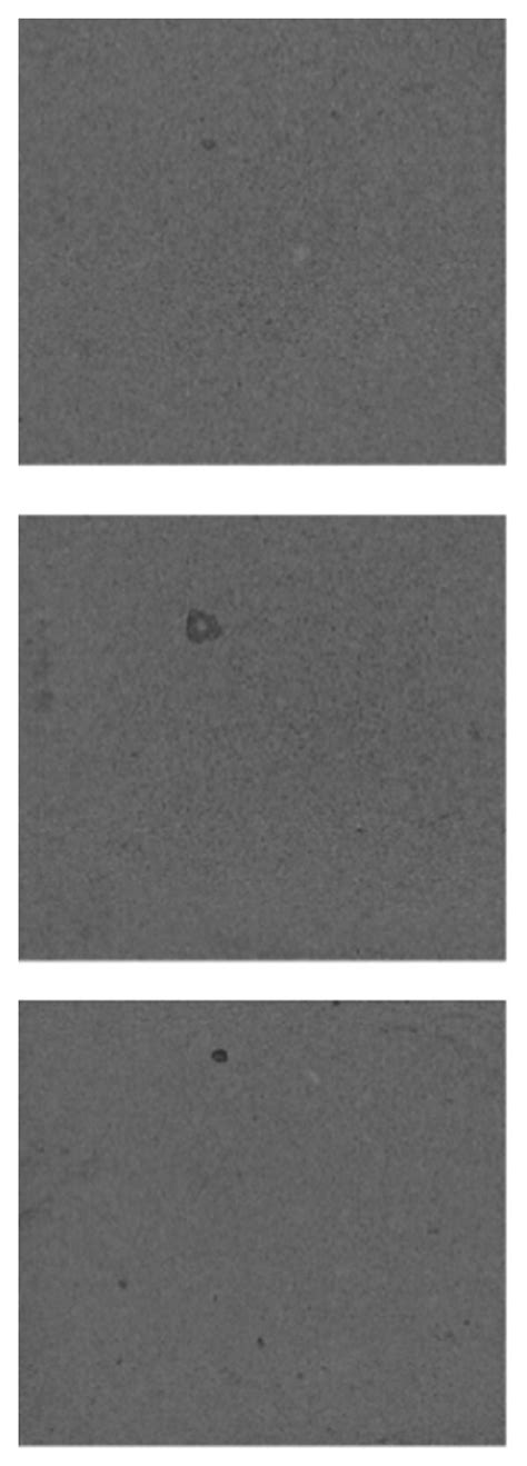 Examples Of Different Defect Types In The Ffsd Dataset A Crazing