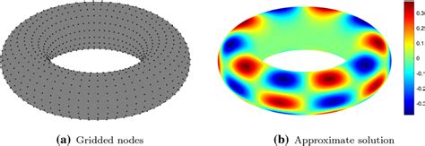 Node Set On The Torus And Approximate Solution At Time Download