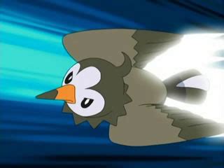 Viajando Por Sinnoh Episódio 002