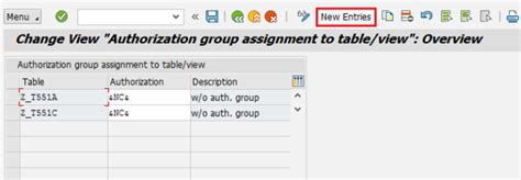 Assign Authorization Group To A Table Sap Security Site