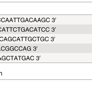 Primers Used For DNA Sequence Analysis Download Table