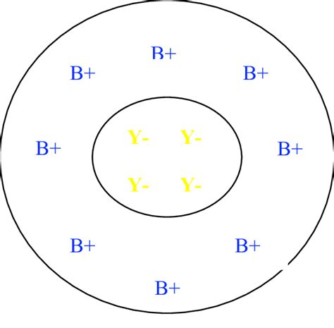 Color Opponent Receptive Field Organization Download Scientific Diagram