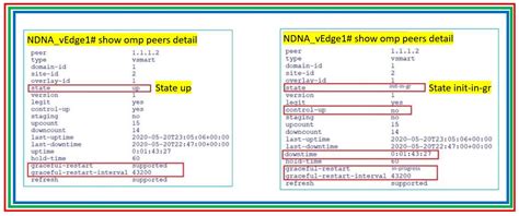 Cisco Viptela SDWAN OMP Graceful Restart The Network DNA