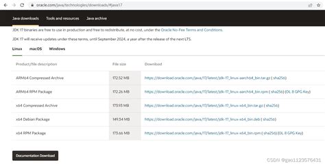 Linux环境安装最新版jdk配置相应环境变量linux安装jdk17并配置环境变量 Csdn博客