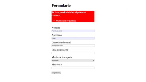 Validación De Formularios Utilizando Vue
