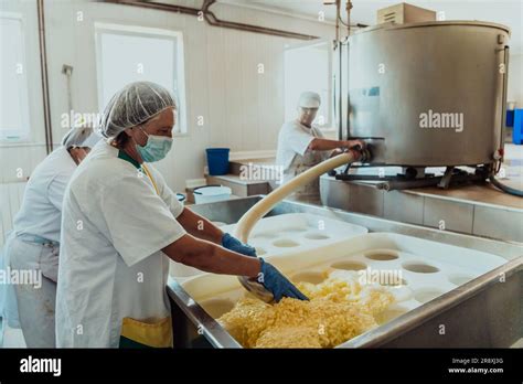 Workers In The Modern Industry For The Processing Of Dairy Products And