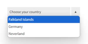 Free CSS Select Option