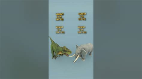 T Rex Vs Elephant Size Comparison Youtube
