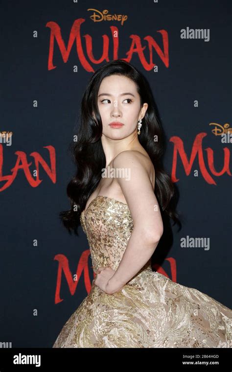 Liu Yi Fei Assassins