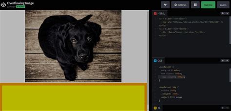 Why Is This Image Overflowing Its Container HTML CSS The FreeCodeCamp Forum