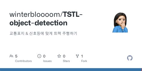GitHub Winterbloooom TSTL Object Detection