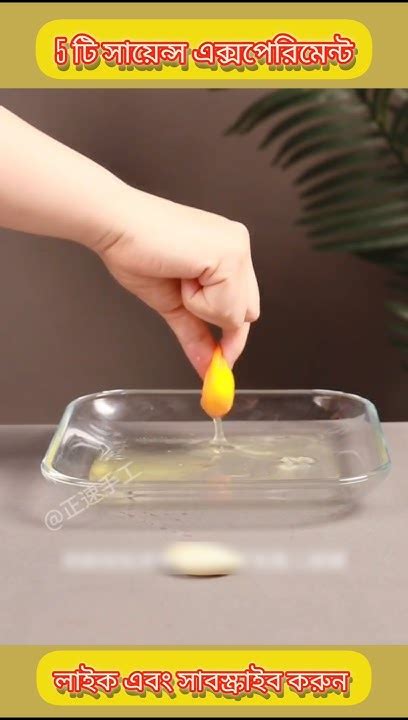 বিজ্ঞানের এই ফ্যাক্টস গুলো জানলে আপনি সত্যি অবাক হবেন Shorts Science Trending Youtube