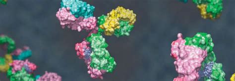 广谱识别 O 糖链：o 糖蛋白酶 Impa — 助力于 O 糖基化位点及 O 糖链结构的鉴定与分析 知乎