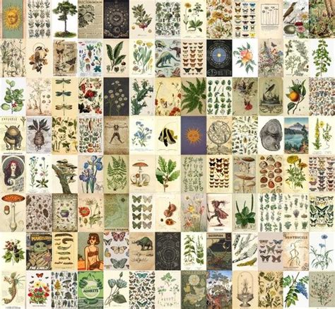 Vintage Botanical Posters Wall Collage Kit Digital Collage Kit Vintage