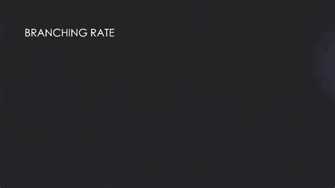 Branching Rate Slide Viral Strategies Presentation