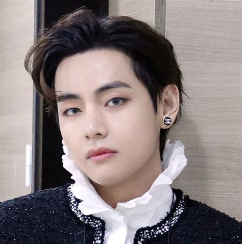 방탄소년단 뷔 한국 남자 연예인 중 인스타 팔로워 1위 올라꽃미남 스포츠조선