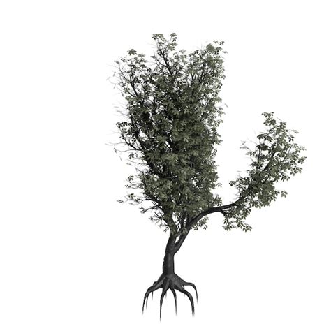 Premium Photo A Tree With The Letter L On It