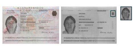 The Security Of IDs Volume Advanced Optical Security Features Adaptive Recognition Image