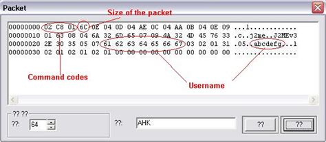 Ask 4 Help Packet Sending Related Ask For Help Autohotkey Community