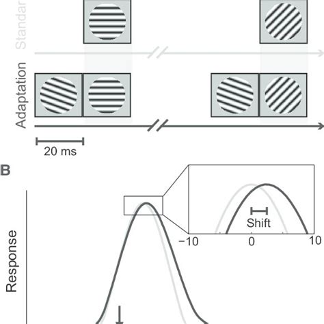 Recurrent Network Dynamics Generate Repulsive Tuning Curve Shifts In An