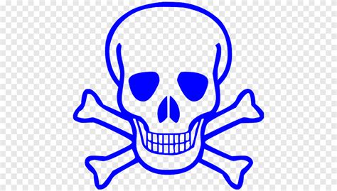 인간의 두개골 상징 두개골을 그리기 두개골과 뼈 두개골과 이미지 머리 두개골과 이미지 Png Pngegg