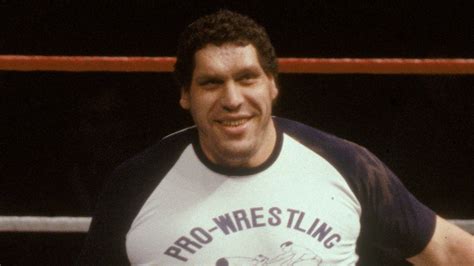 The Montreal Restaurant André The Giant Once Co Owned
