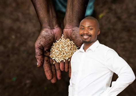 Sansor How To Spot Uncertified Seed And Why It Matters Food For Mzansi