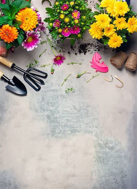 Illustrated Spring Background Inspired By Planting Seedlings Stock Illustration Illustration