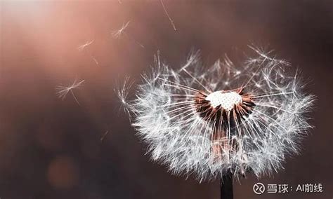 Openai 宣布开源多语言语音识别系统 Whisper，英文识别能力接近人类水平 作者 刘燕 9 月 21 日，openai 宣布，已经训练并开源了一个名为 Whisper 的神经网络