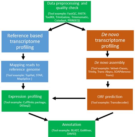 Transcriptomic Profiling Using Next Generation Sequencing Advances