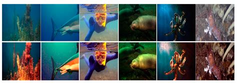 semantic segmentation of underwater images based on improved deeplab