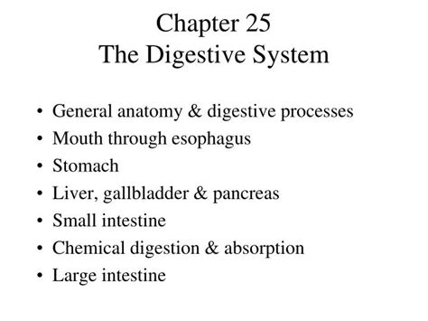 Ppt Chapter 25 The Digestive System Powerpoint Presentation Free