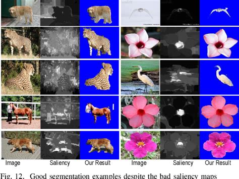 Image Co Skeletonization Via Co Segmentation