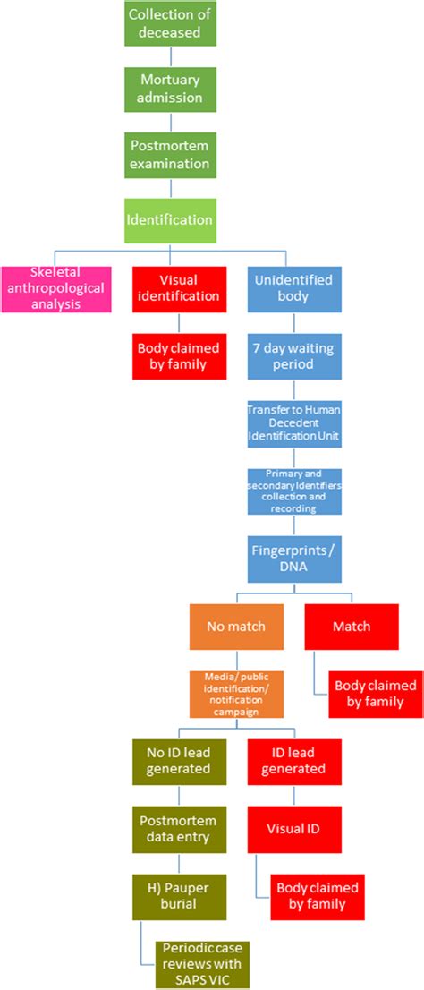 Workflow Of Identification Processes At The Johannesburg Forensic