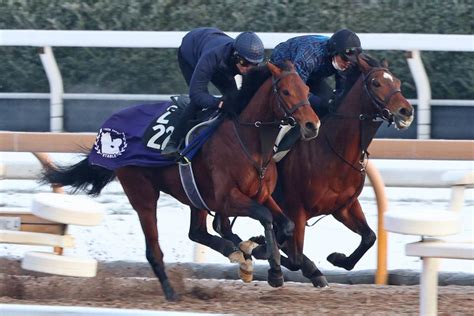 【毎日ベスト3】網記者が選ぶきさらぎ賞関西馬の追い切りベスト3 毎日ベスト3 競馬コラム写真ニュース 日刊スポーツ