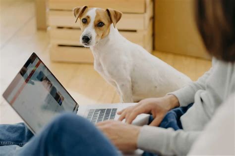 Variable Or Fixed Rate Mortgage Canada Which Is Best