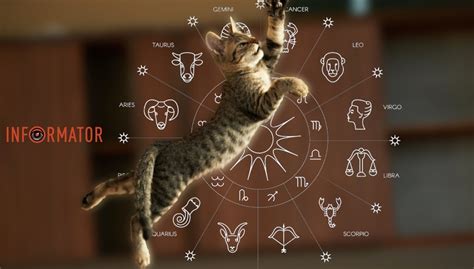 Гороскоп на 8 грудня для всіх знаків Зодіаку будуть виклики та випробування