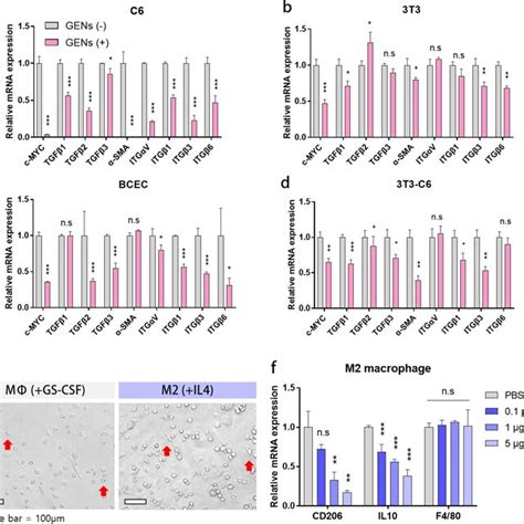 Inhibition Of Overexpressed C Myc And Activation Of Tgf β And Integrin Download Scientific