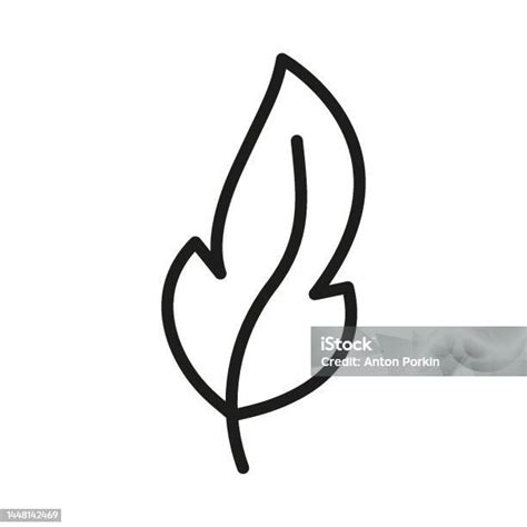 깃털 선 아이콘입니다 푹신한 새 퀼 선형 픽토그램 경량 깃털 윤곽선 기호입니다 서예 기호를 쓰기 위한 잉크 펜 푹신한 가벼운 무게 편집 가능한 획 고립된 벡터 그림 거미줄에