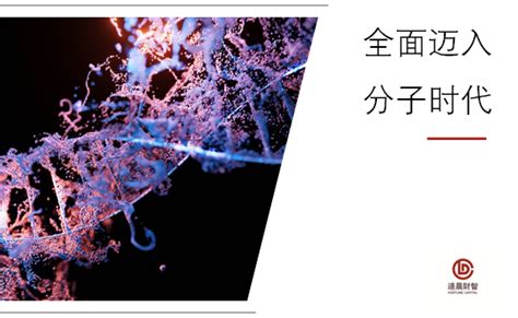 公司新闻
