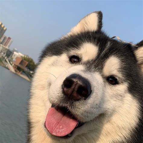 鄭芃予 rain cheng py Threads Say more