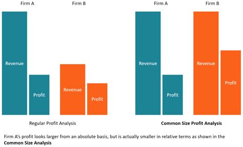 Fine Beautiful Importance Of Common Size Statement What Does A Cash