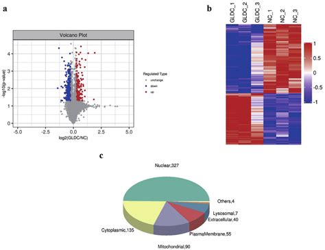 Bioinformatic Analysis Of Differentially Expressed Genes A Volcano Download Scientific