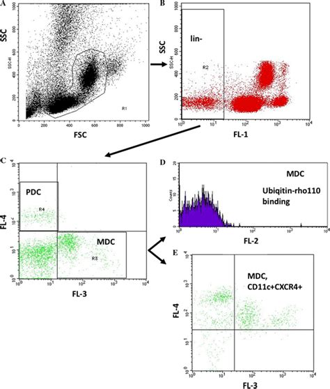 Gating Strategy For The Determination Of Mdc And Pdc Representative Download Scientific