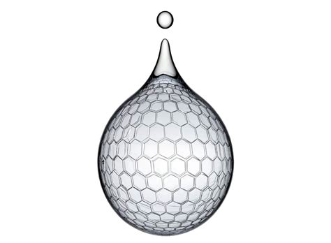 Урок Введение в аквабиотики Курс Аквабиотики Факультет Нутрициология Московский бизнес портал