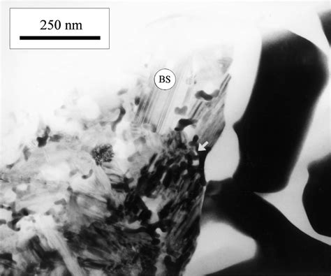 Tem Micrograph Showing The Boundary Between Lamellar Eutectic Download Scientific Diagram