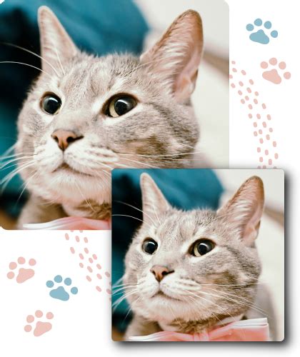 在线图像阴影效果工具